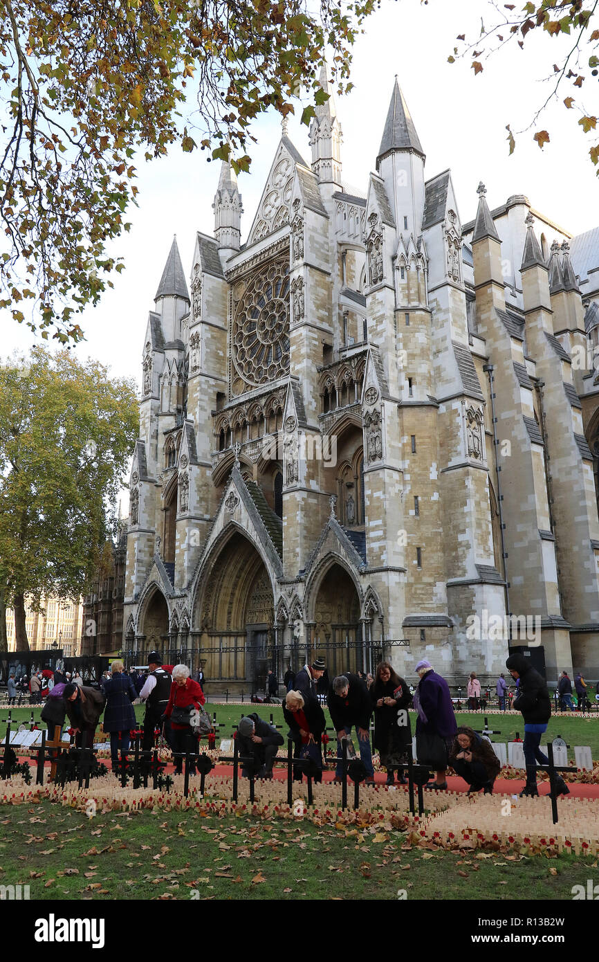 Remembrance tributes are planted in Fields of Remembrance, with each ...