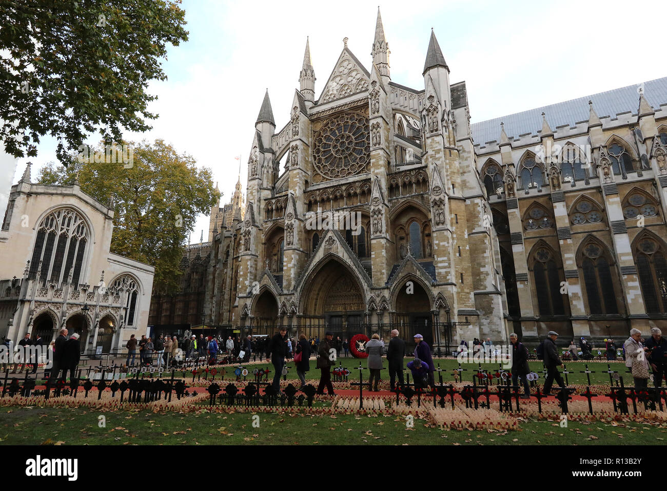 Remembrance tributes are planted in Fields of Remembrance, with each ...