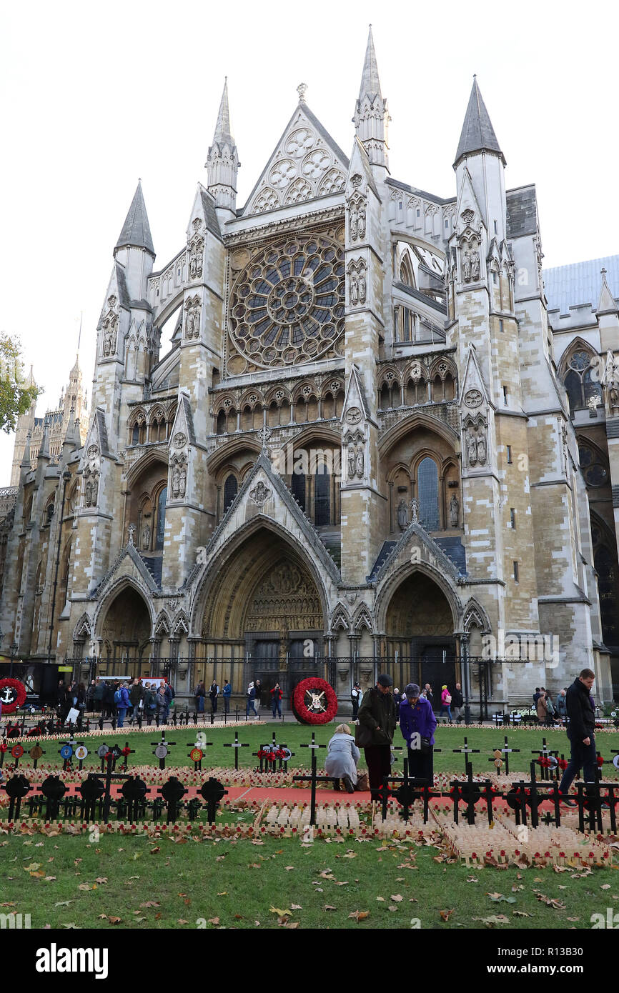 Remembrance tributes are planted in Fields of Remembrance, with each ...