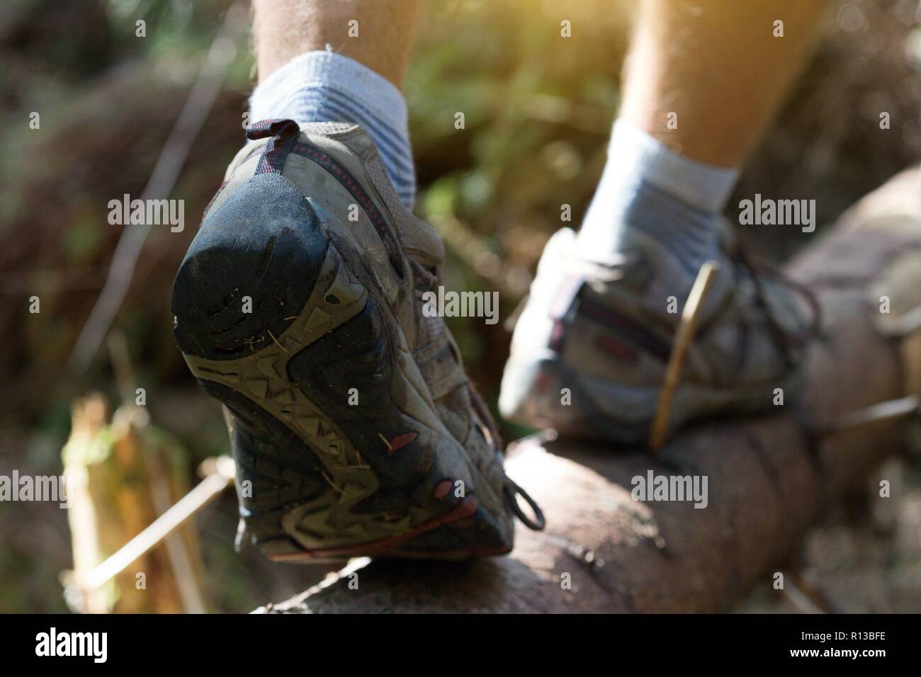 hiking boots close-up. boy tourist steps on a log Stock Photo - Alamy