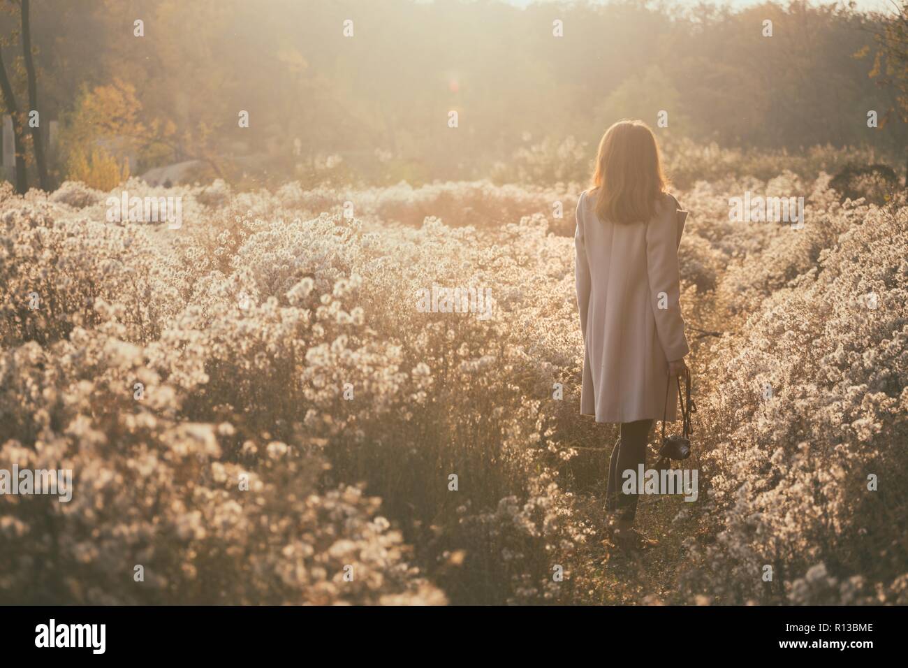 Vintage Field Photography