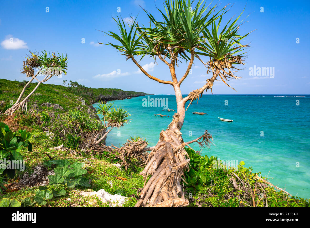 Zanzibar beach hi-res stock photography and images - Alamy