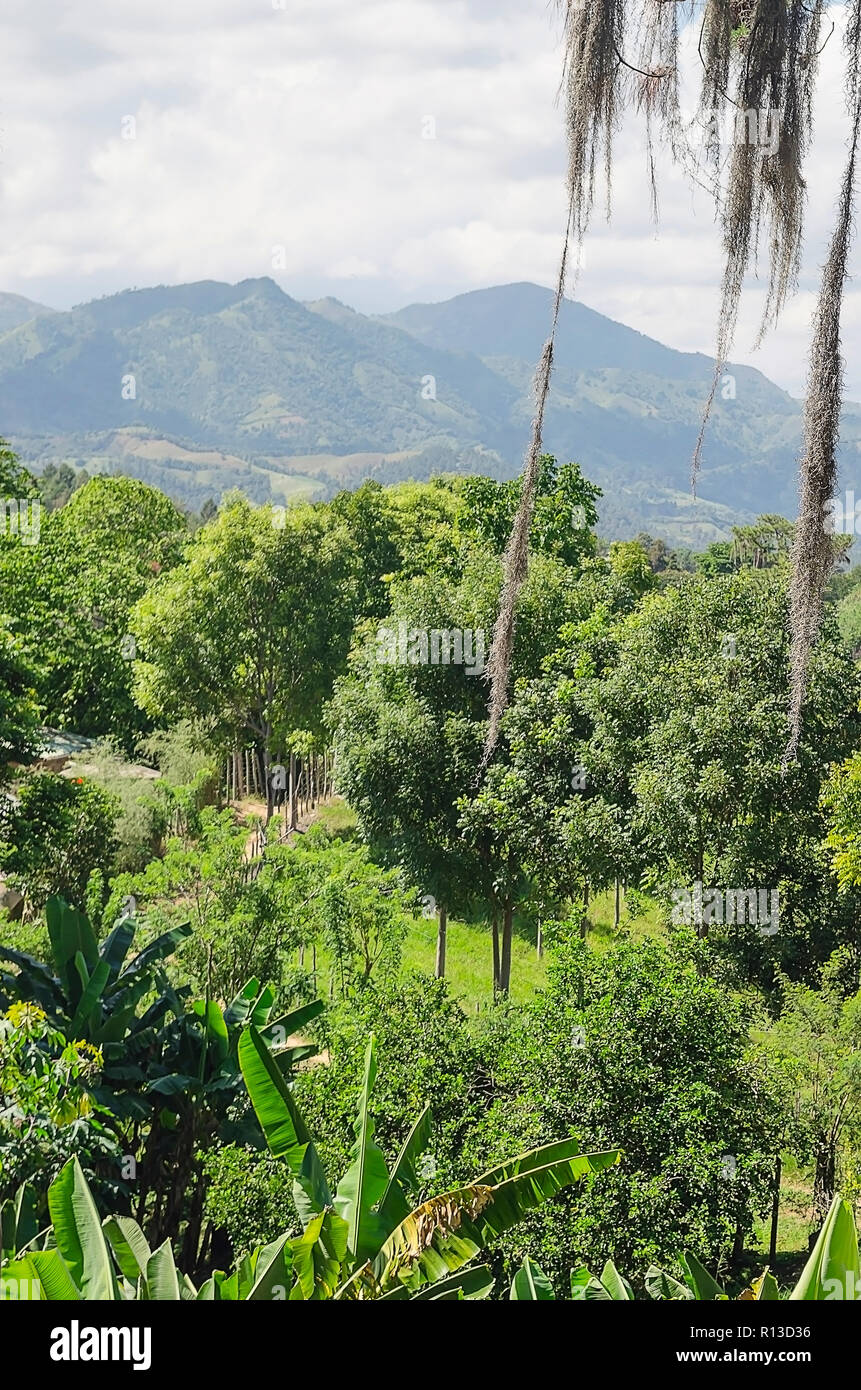 landscape of mountains, surrounded by humid forests Dominican Republic ...