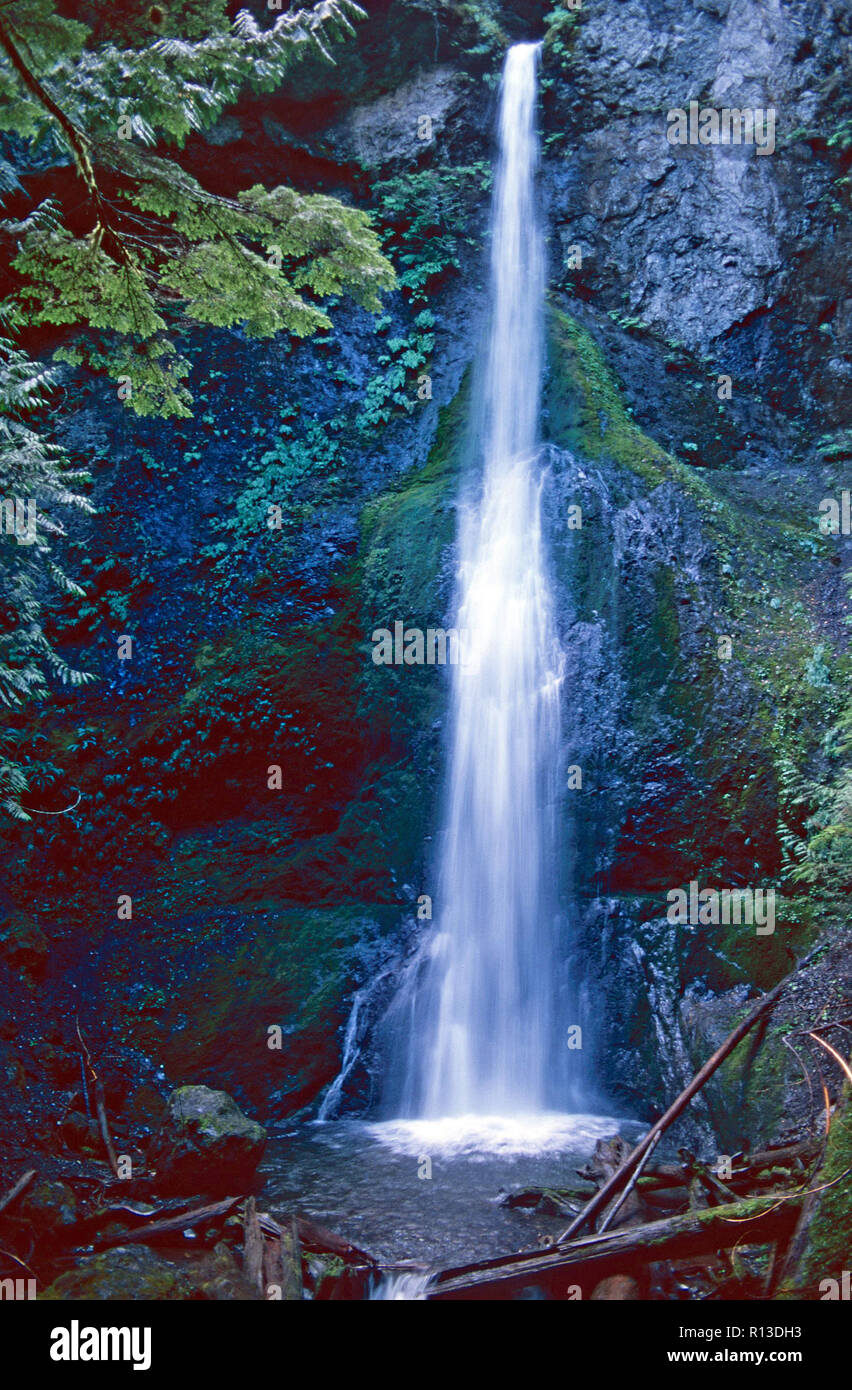 Olympic National Park Marymere Falls High Resolution Stock Photography ...