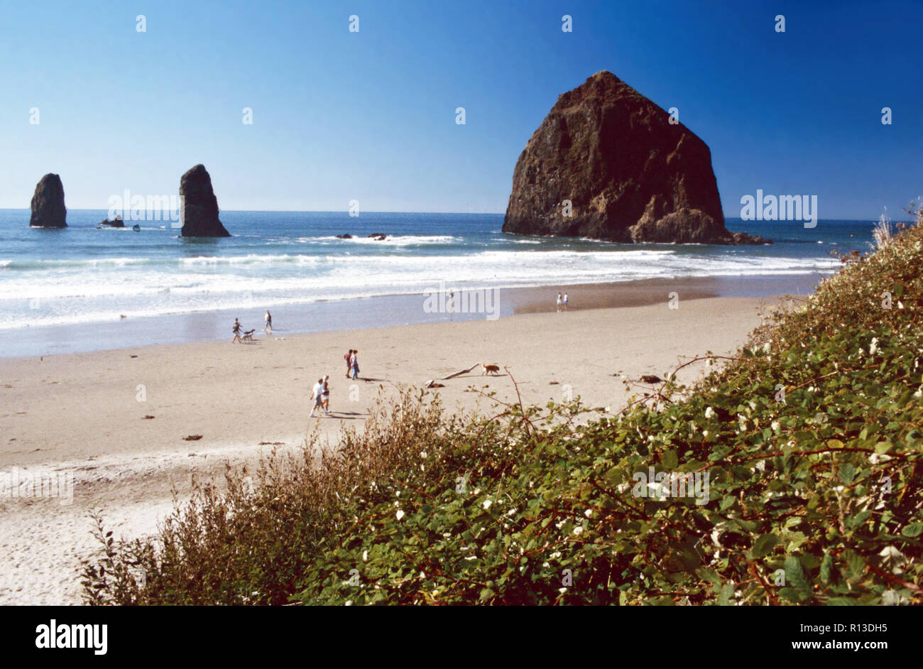 Haystack rock oregon hi-res stock photography and images - Alamy
