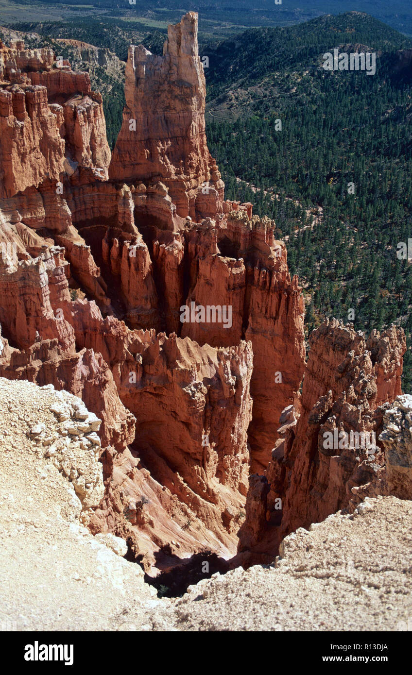 Pariah hi-res stock photography and images - Alamy