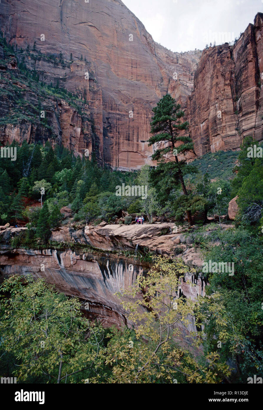 Emerald Pools Trail,Zion National Park,Utah Stock Photo - Alamy