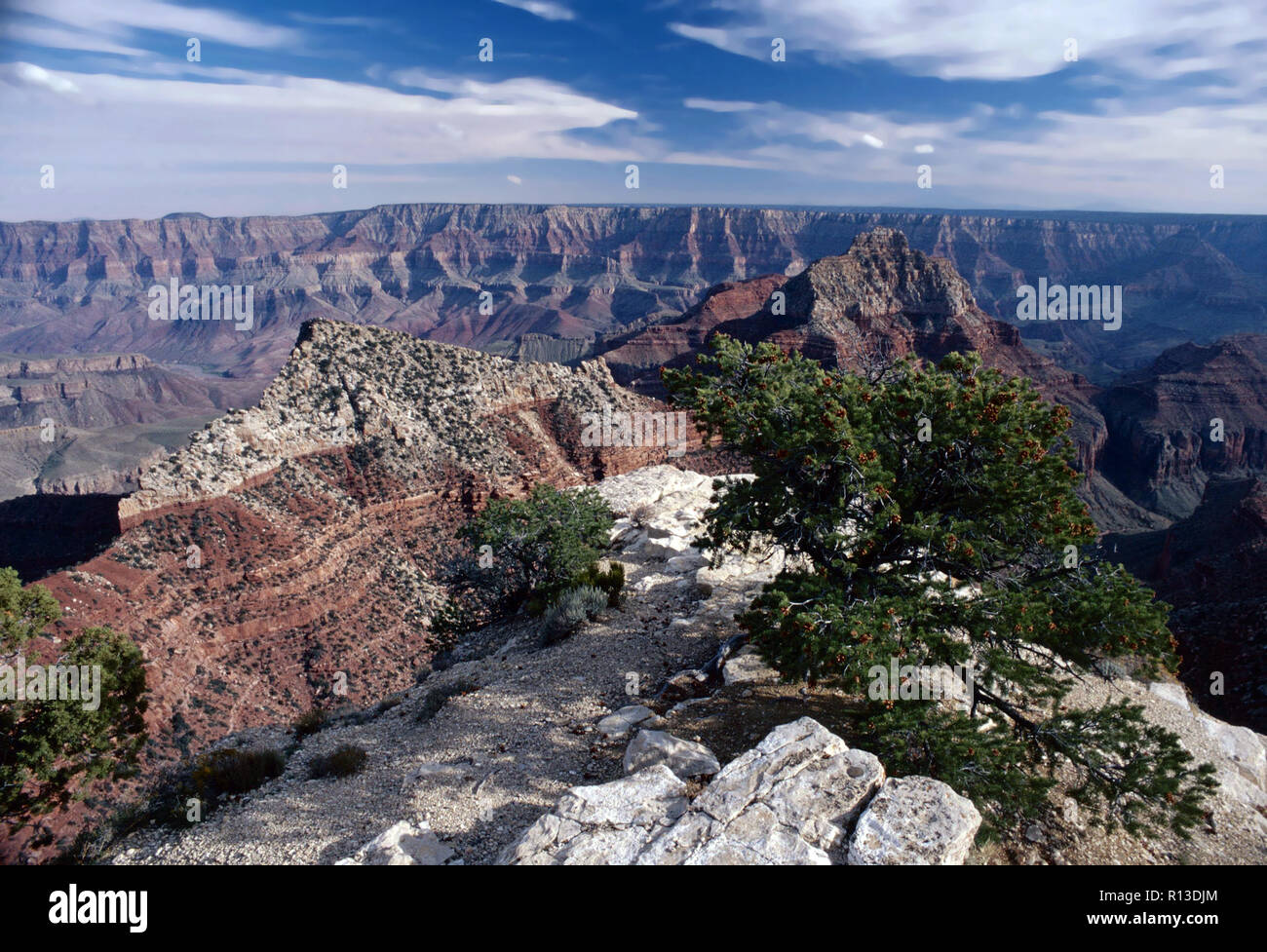 Cape Royal,North Rim,Grand Canyon National Park,Arizona Stock Photo - Alamy