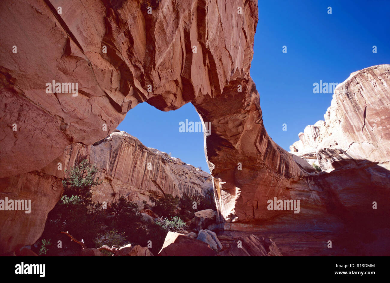 Capitol reef capitol reef national park hi-res stock photography and ...