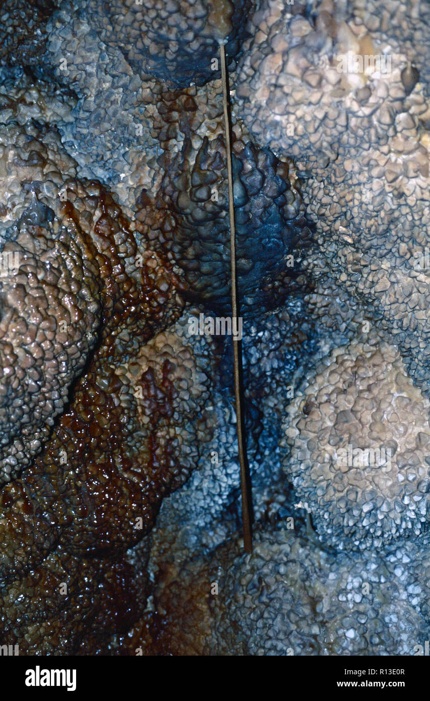 Soda straw cave hi-res stock photography and images - Alamy