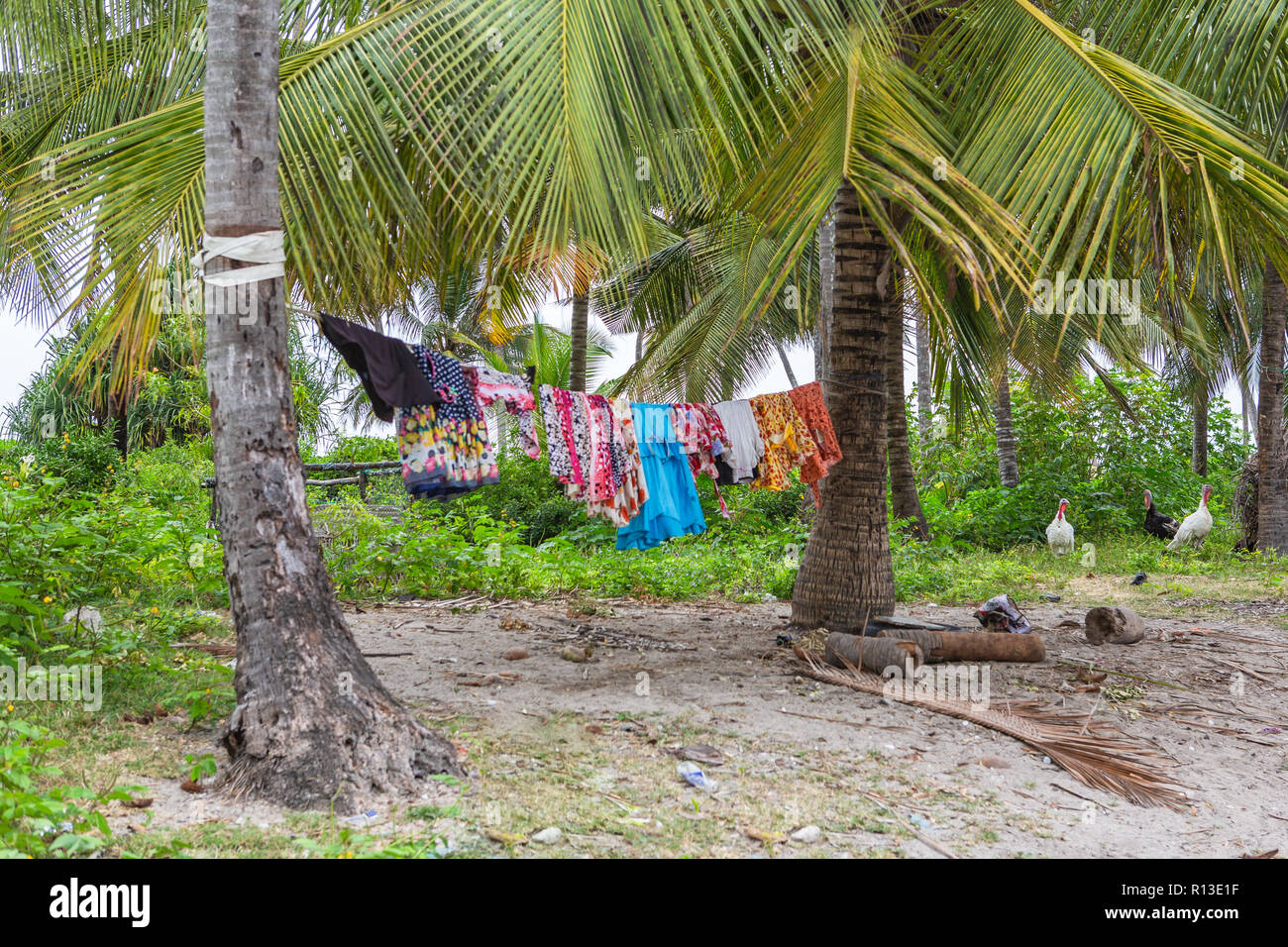 Clothes drying on palm tree hi-res stock photography and images - Alamy