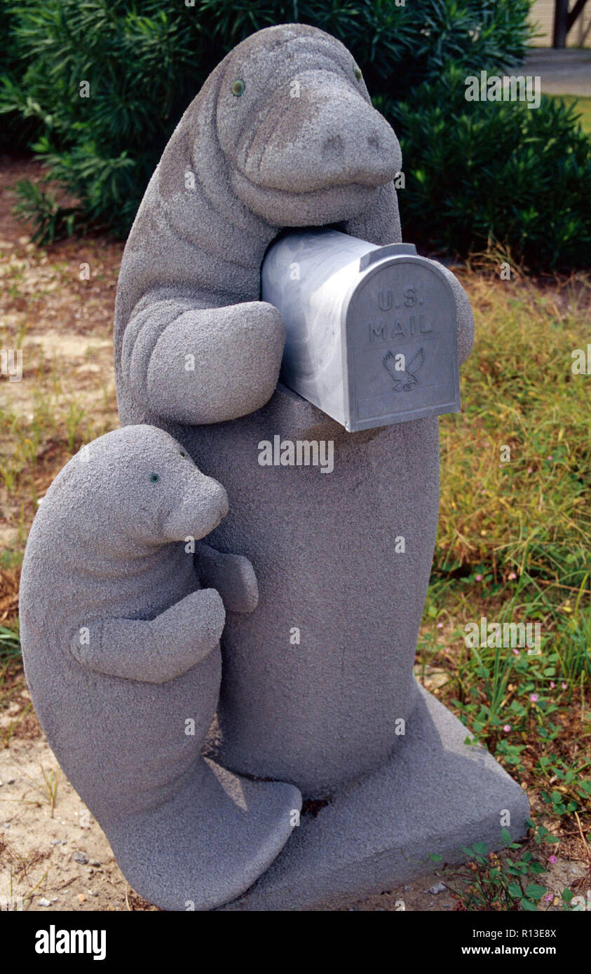 Manatee mailbox hi-res stock photography and images - Alamy