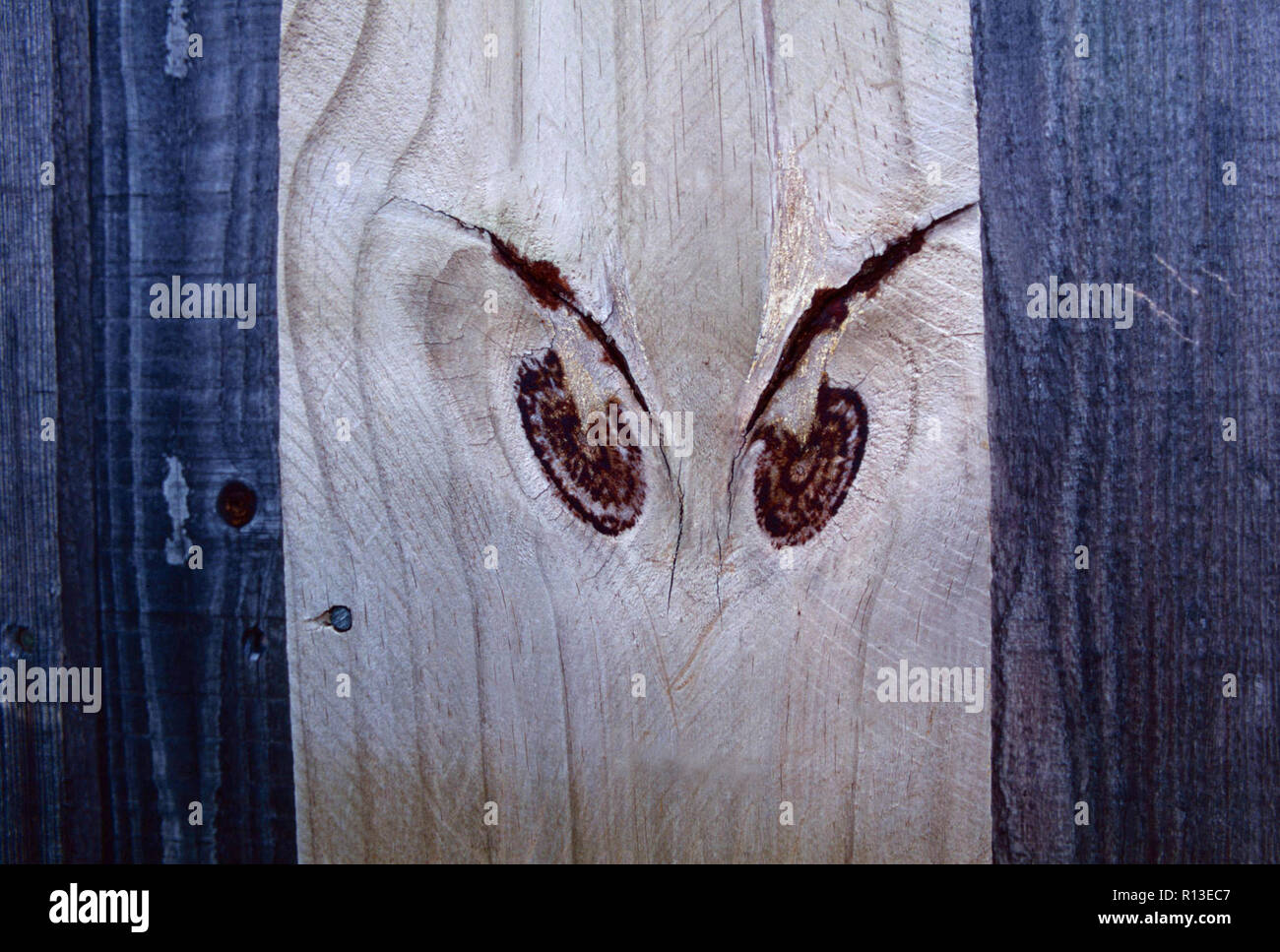 A natural face in knotty pine Stock Photo - Alamy
