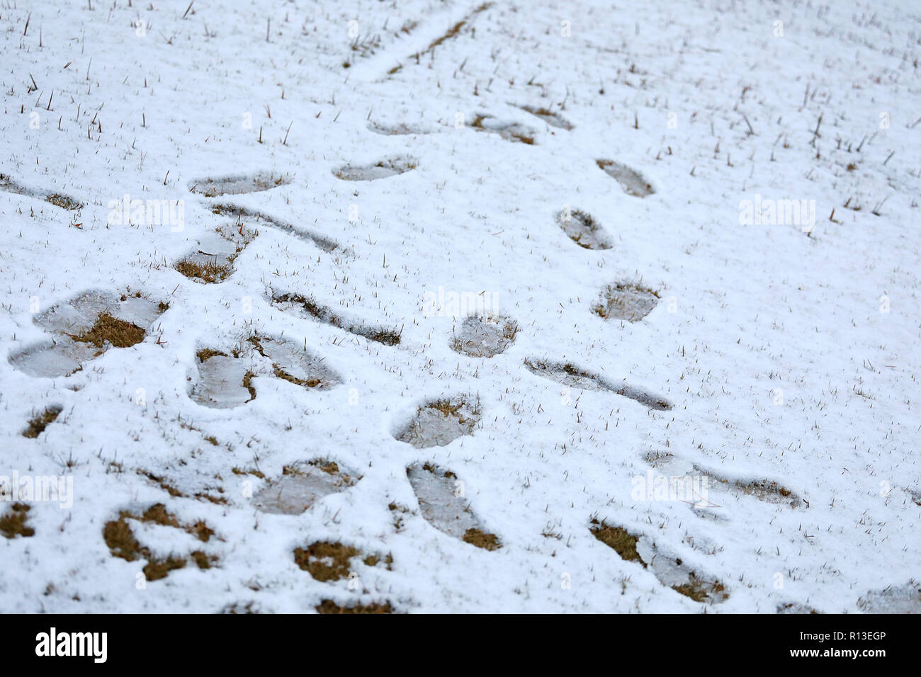 Sport shoe footprints on hi-res stock photography and images - Alamy