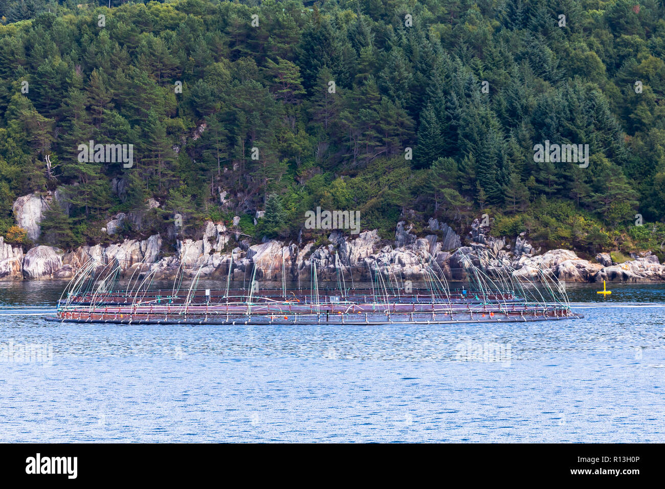 Norway fish farming hi-res stock photography and images - Alamy