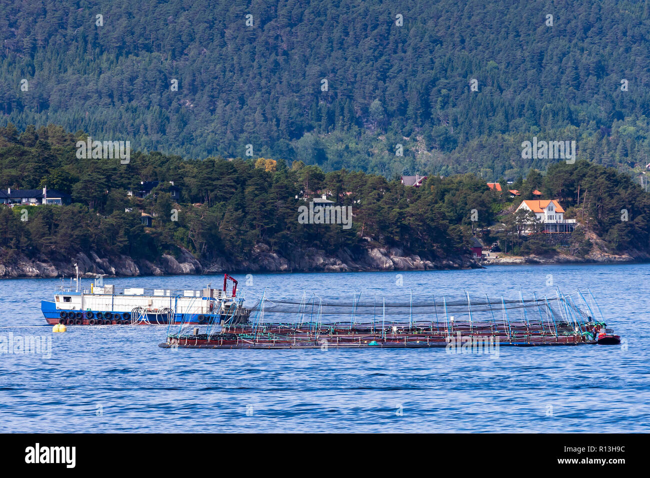 Ocean salmon farming hi-res stock photography and images - Alamy