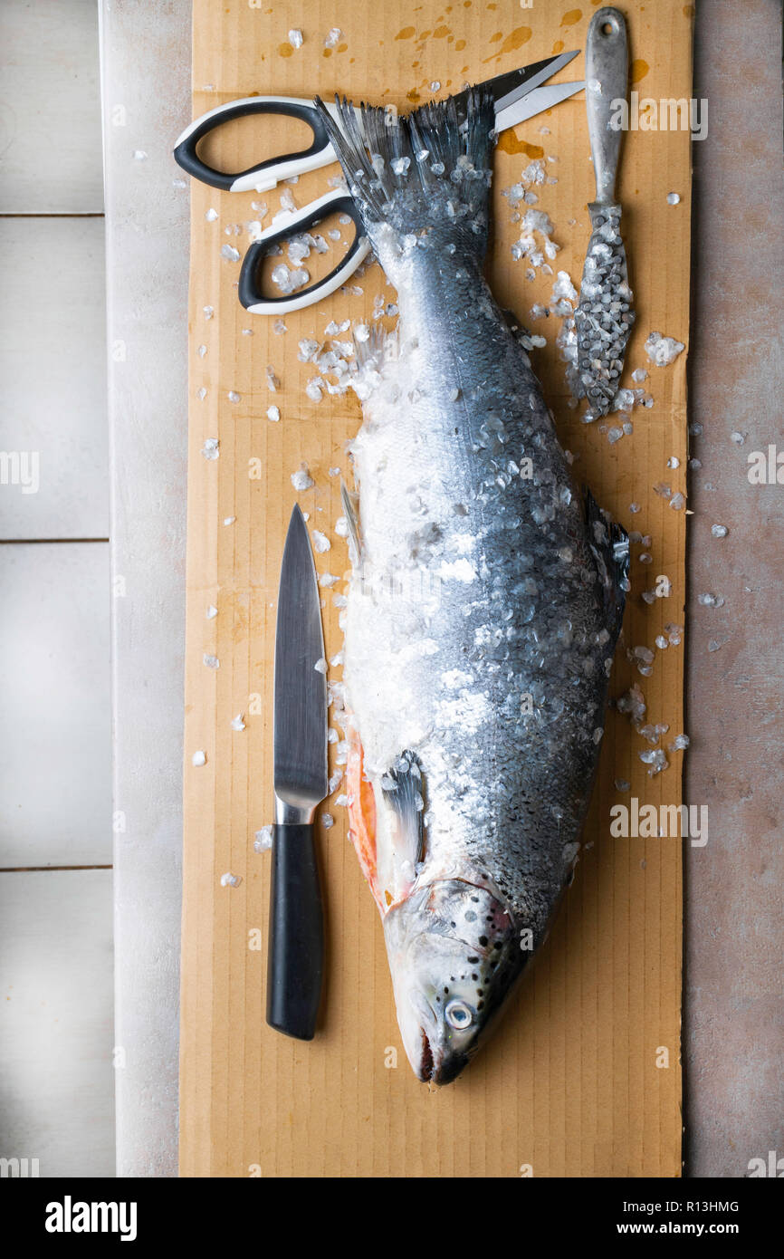 Large fresh salmon, knife and scissors. Preparation for cutting fish ...