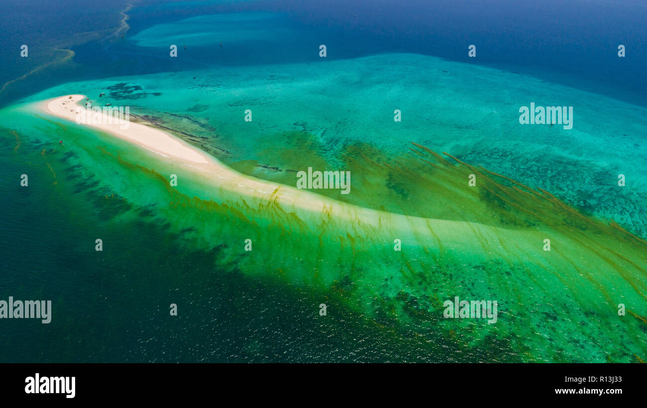 Sand bank near Stone Town. Zanzibar, Tanzania Stock Photo - Alamy