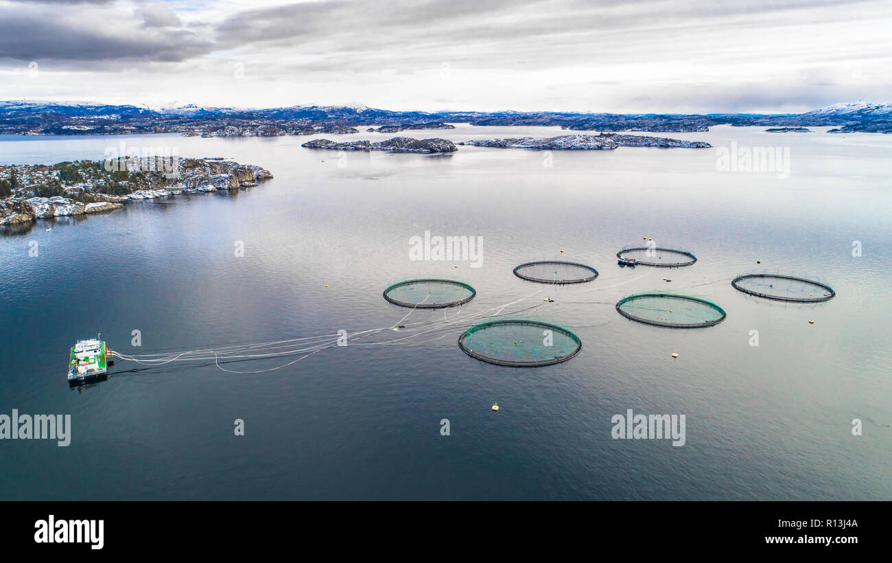 Salmon fish farm near Bergen, Norway Stock Photo - Alamy