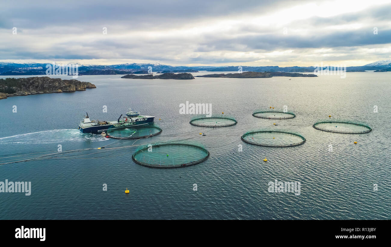 Salmon fish farm in fjord. Norway, Bergen Stock Photo - Alamy