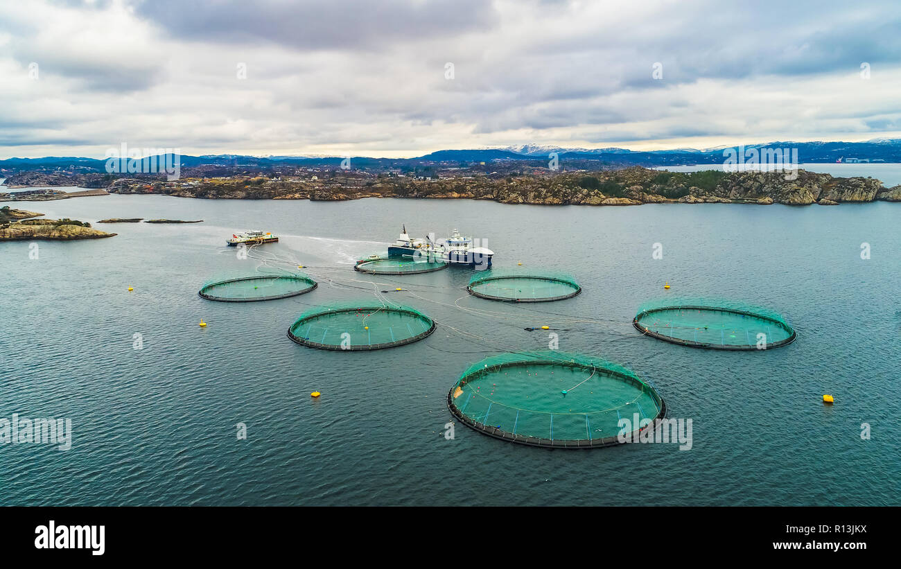 Fish farm in fjord hi-res stock photography and images - Alamy
