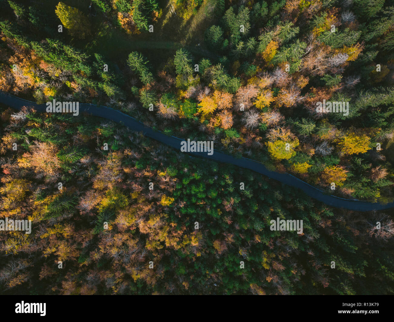 Colorful forest and curvy road, aerial drone view from above Stock ...