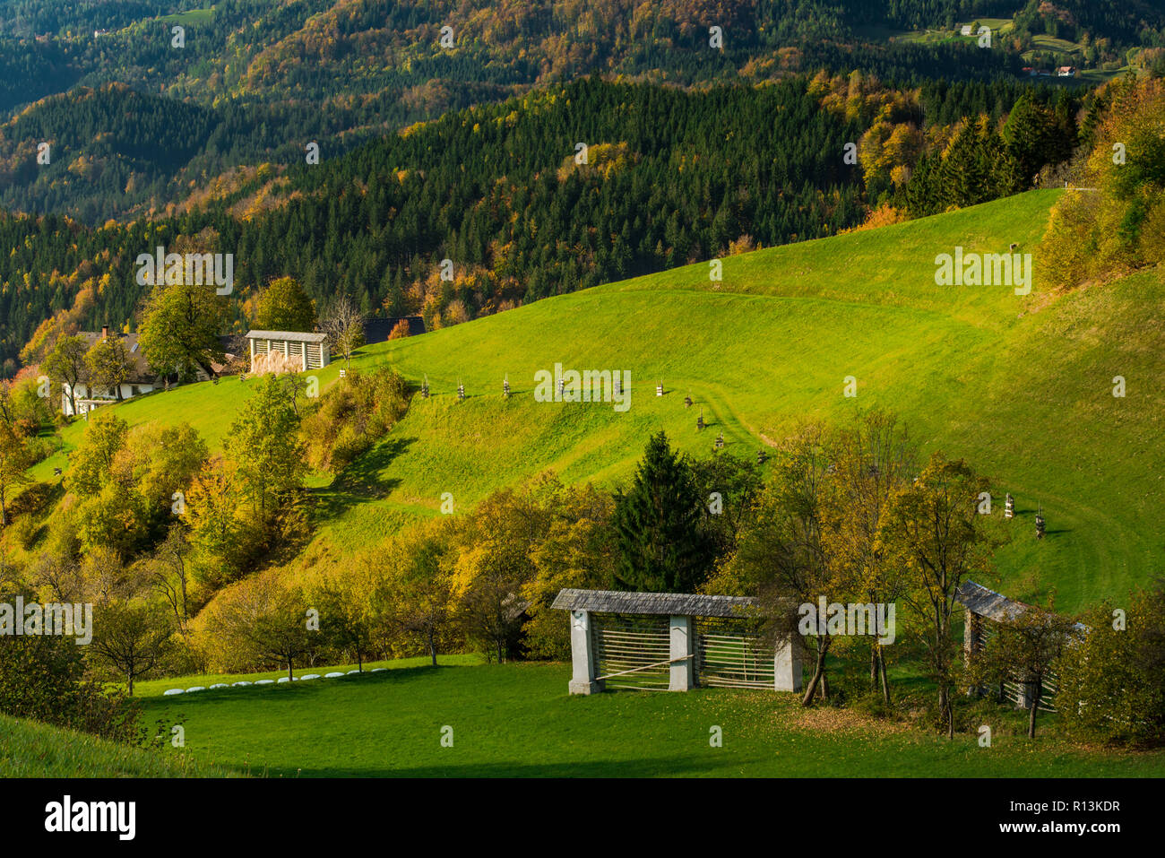 Beautiful and vibrant green countryside in Slovenia Stock Photo - Alamy