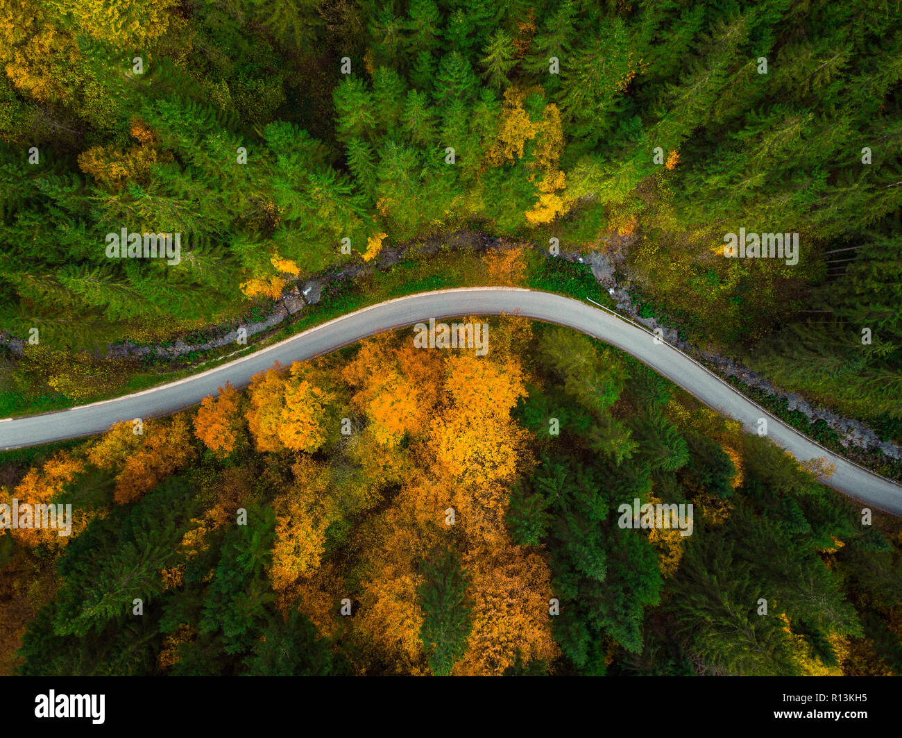 Forest top down hi-res stock photography and images - Alamy