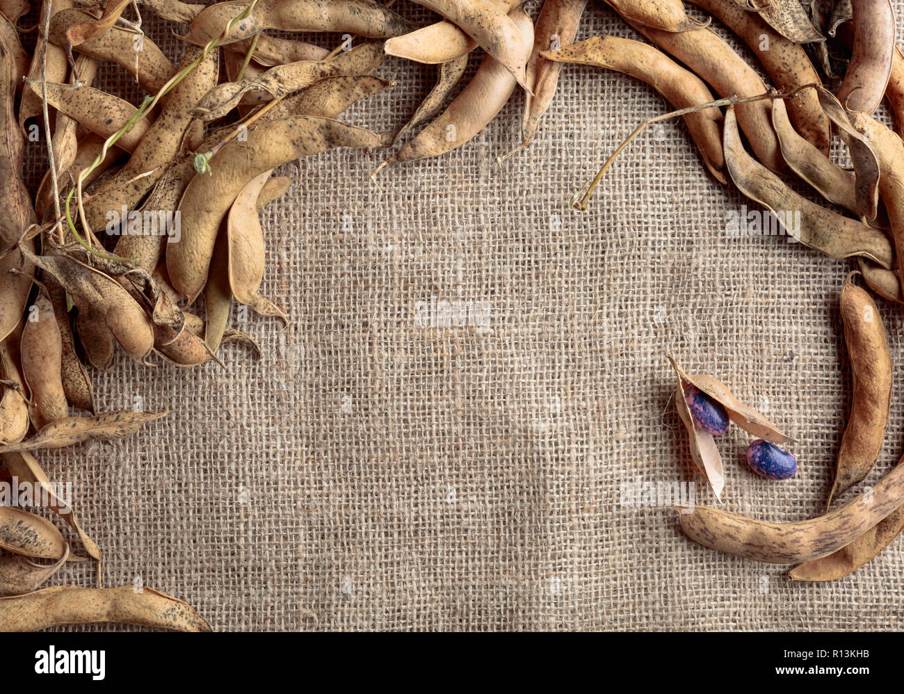 Dry bean pods, healthy organic food. Top view, copy space for your text ...