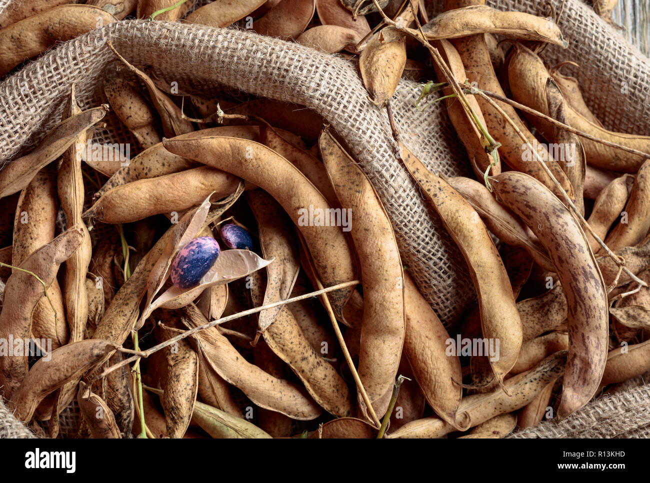 Dry bean pods, healthy organic food. Top view Stock Photo - Alamy