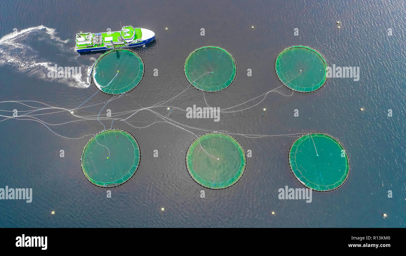 Salmon fish farm in fjord. Norway, Bergen Stock Photo - Alamy