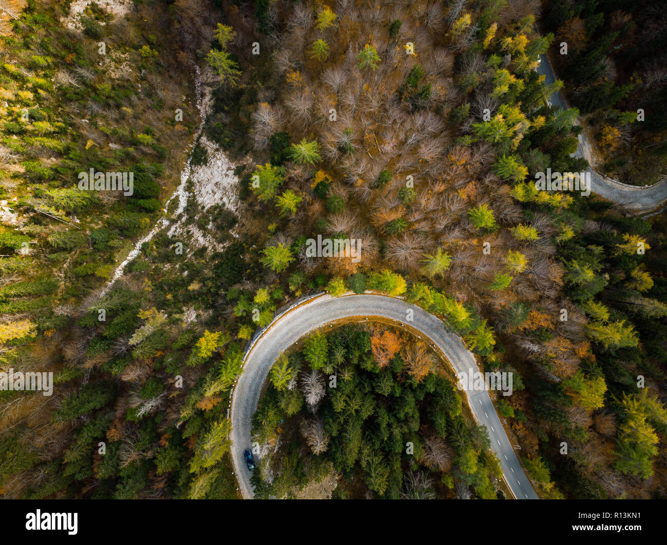 Curvy road trough atumn forest,aerial top down view Stock Photo - Alamy