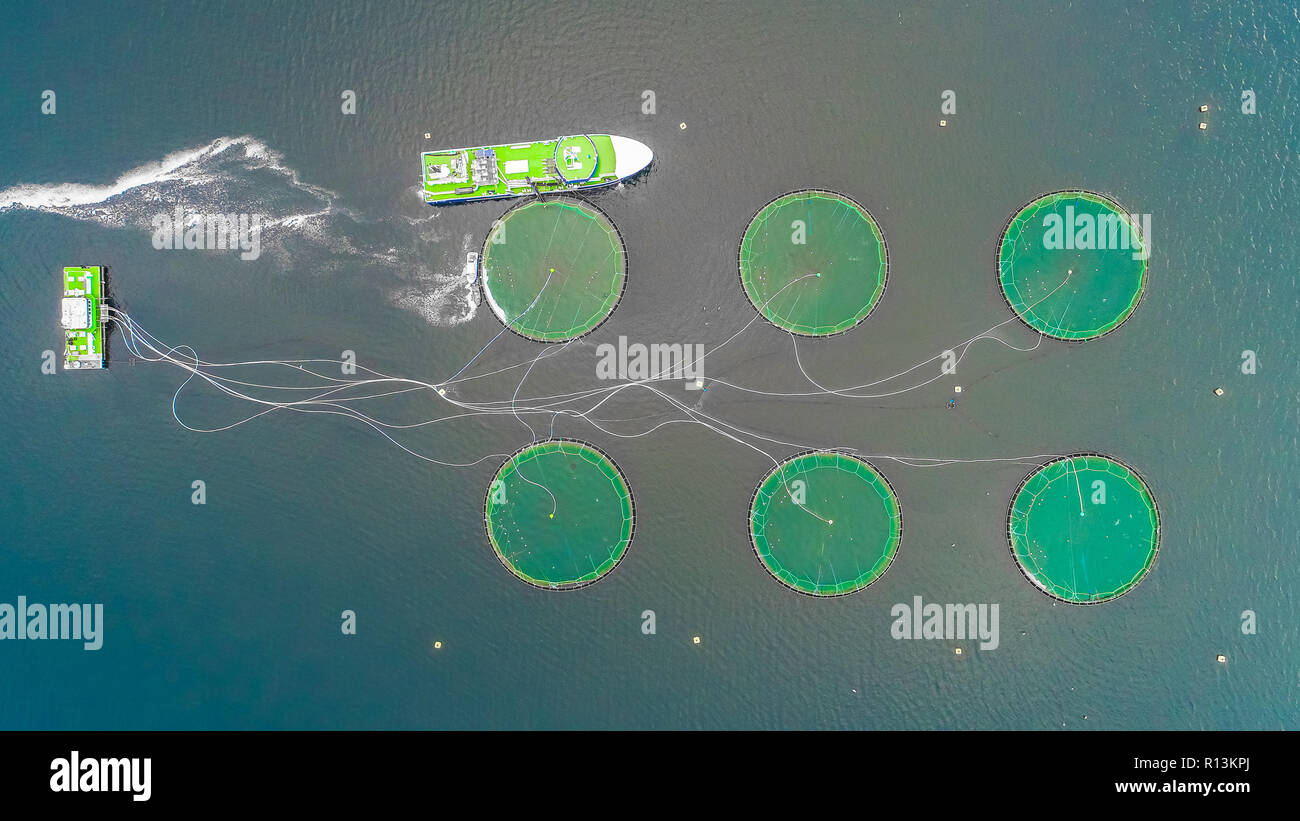 Fish farm in fjord hi-res stock photography and images - Alamy