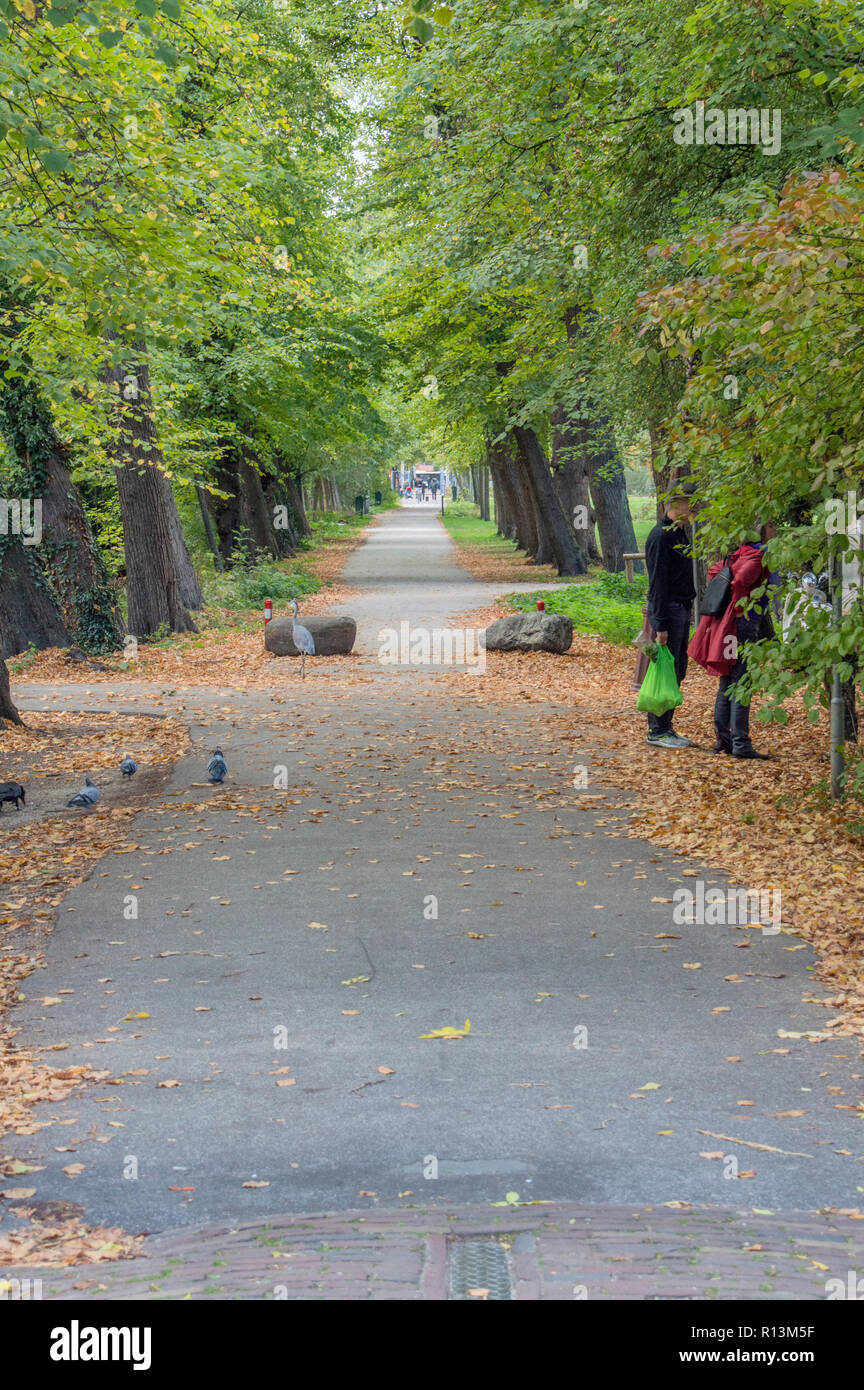 Park frankendael amsterdam hi-res stock photography and images - Alamy