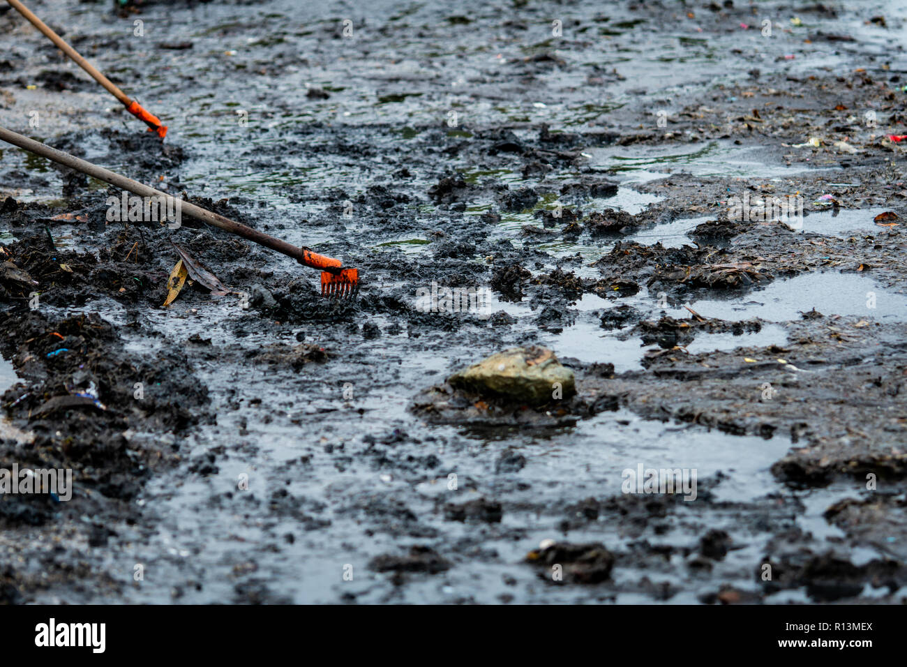 Asia and litter collecting and beach hi-res stock photography and ...