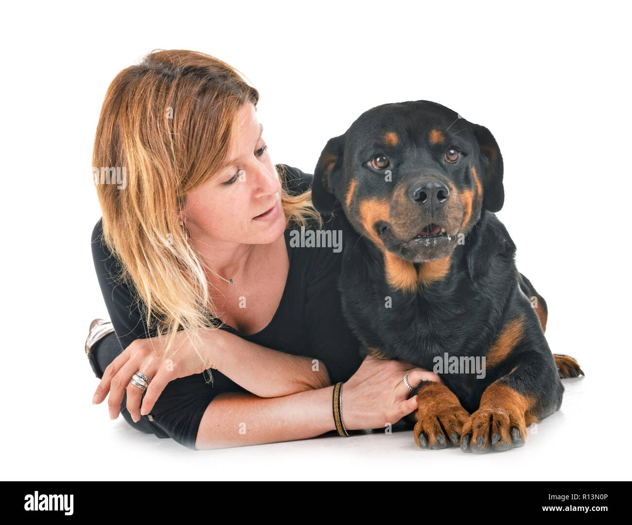 purebred rottweiler and woman in front of white background Stock Photo ...