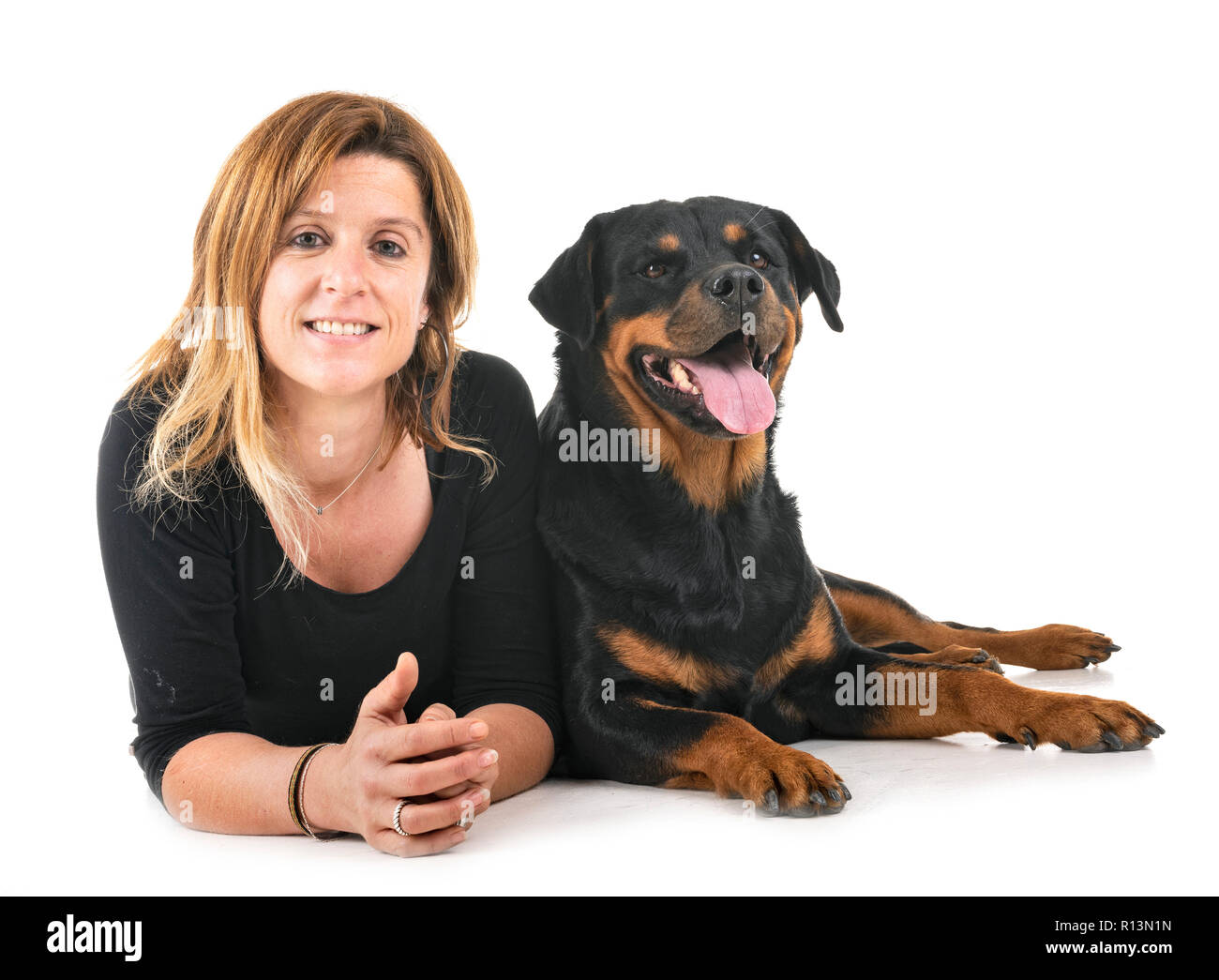 purebred rottweiler and woman in front of white background Stock Photo ...