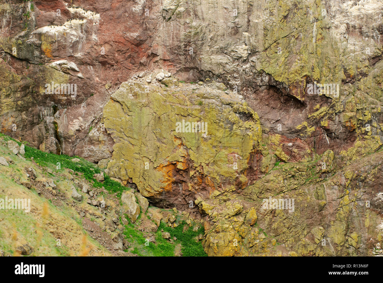 Rocks on the cliffs of St Abbs Head, Scottish Borders, UK Stock Photo ...