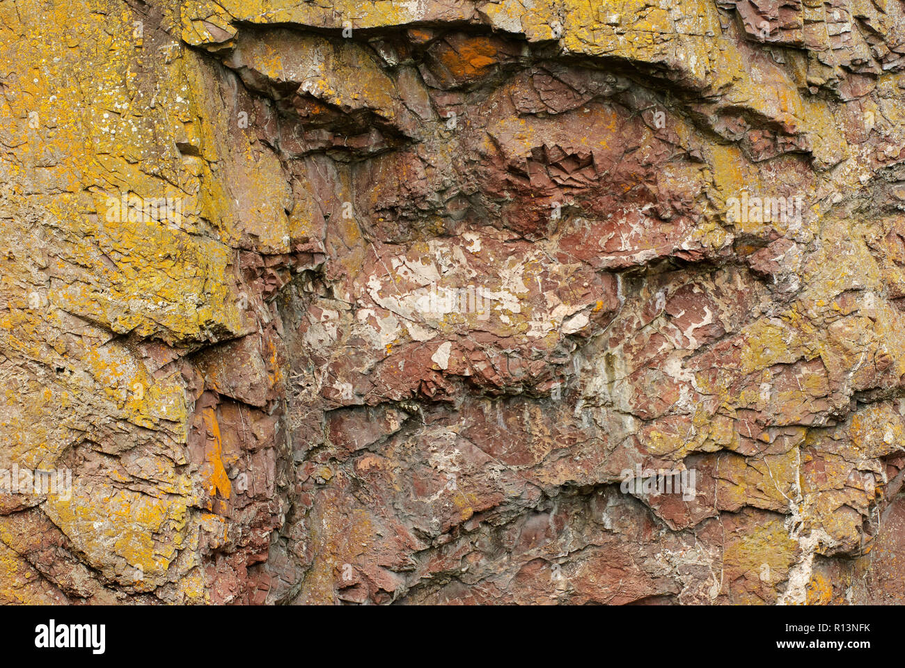 Rocks on the cliffs of St Abbs Head, Scottish Borders, UK Stock Photo ...