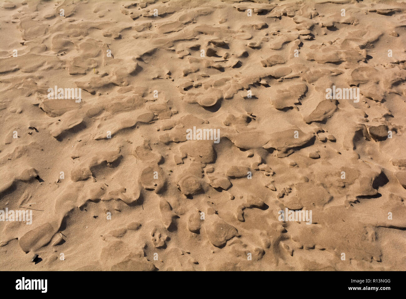 Sand ripples on the beach hi-res stock photography and images - Alamy