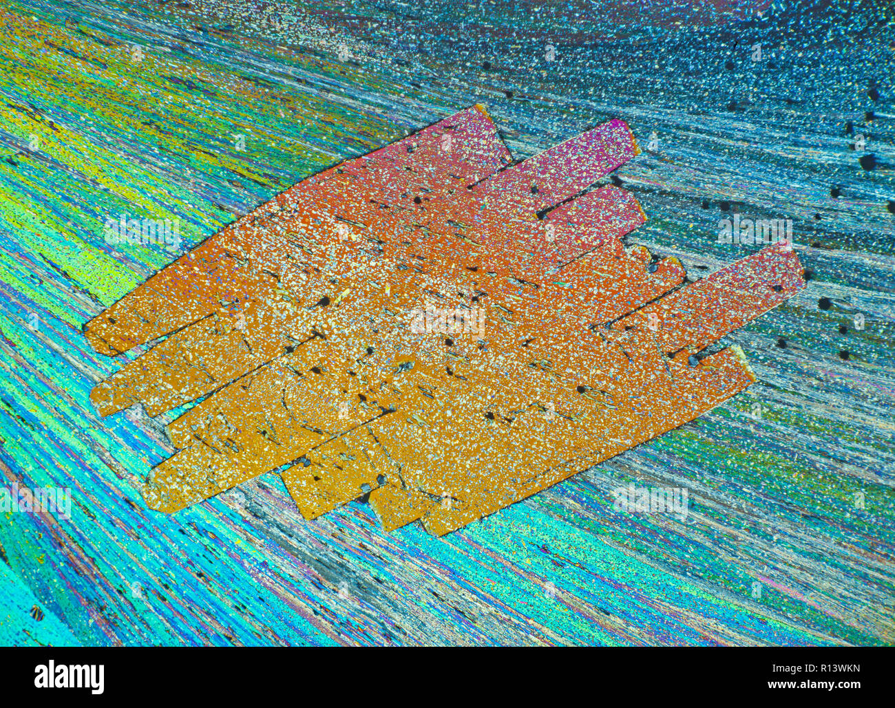 Optically anisotropic materials hi-res stock photography and images - Alamy