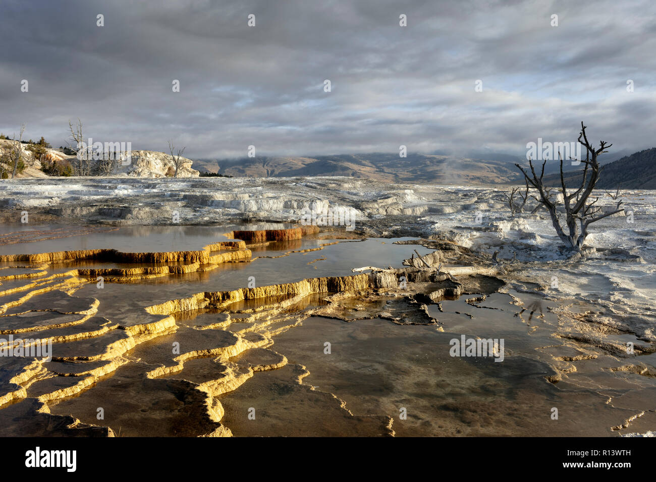 Travertine terraces at mammoth hot springs hi-res stock photography and ...