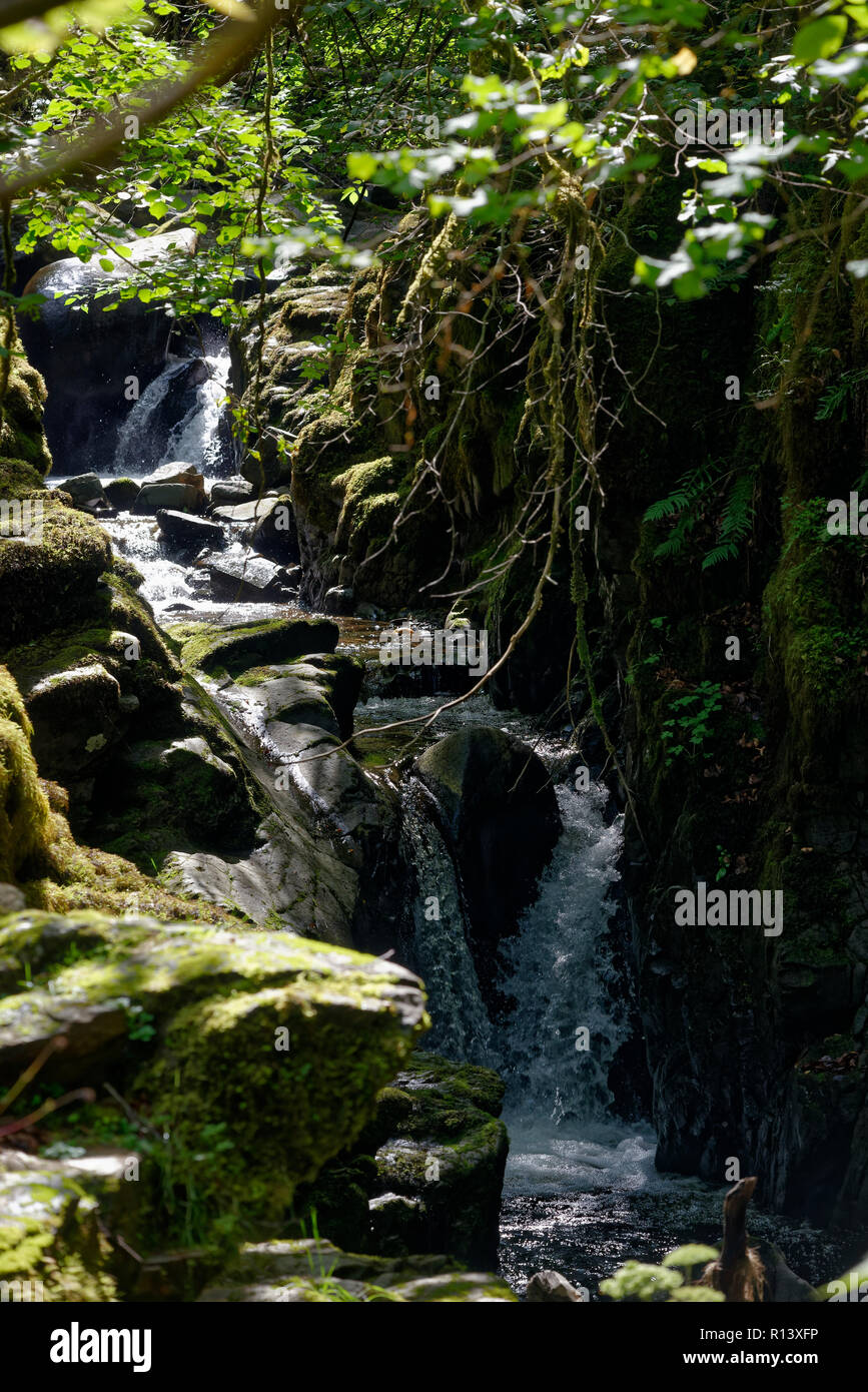Moness Burn, Birks of Aberfeldy, Perth & Kinross Stock Photo - Alamy