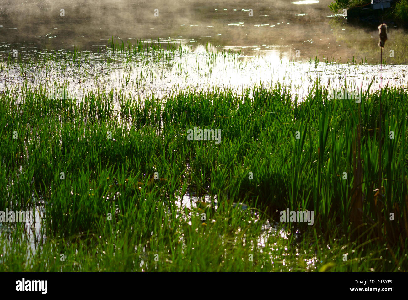 Sunrise on the lake in Canada. There are some mist over the water ...