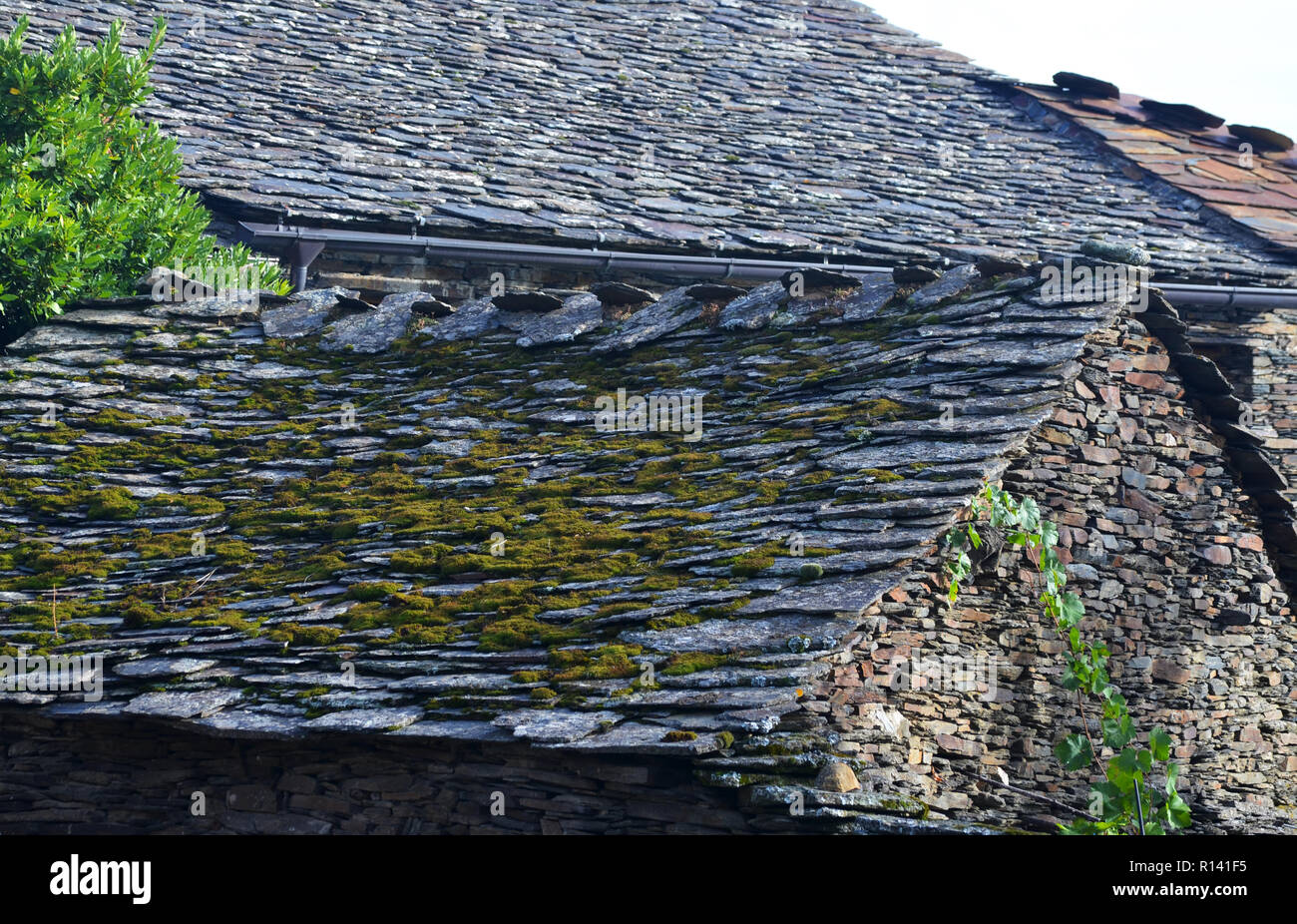 Campillo de Ranas, one of the Black Villages in the Sierra Norte of ...