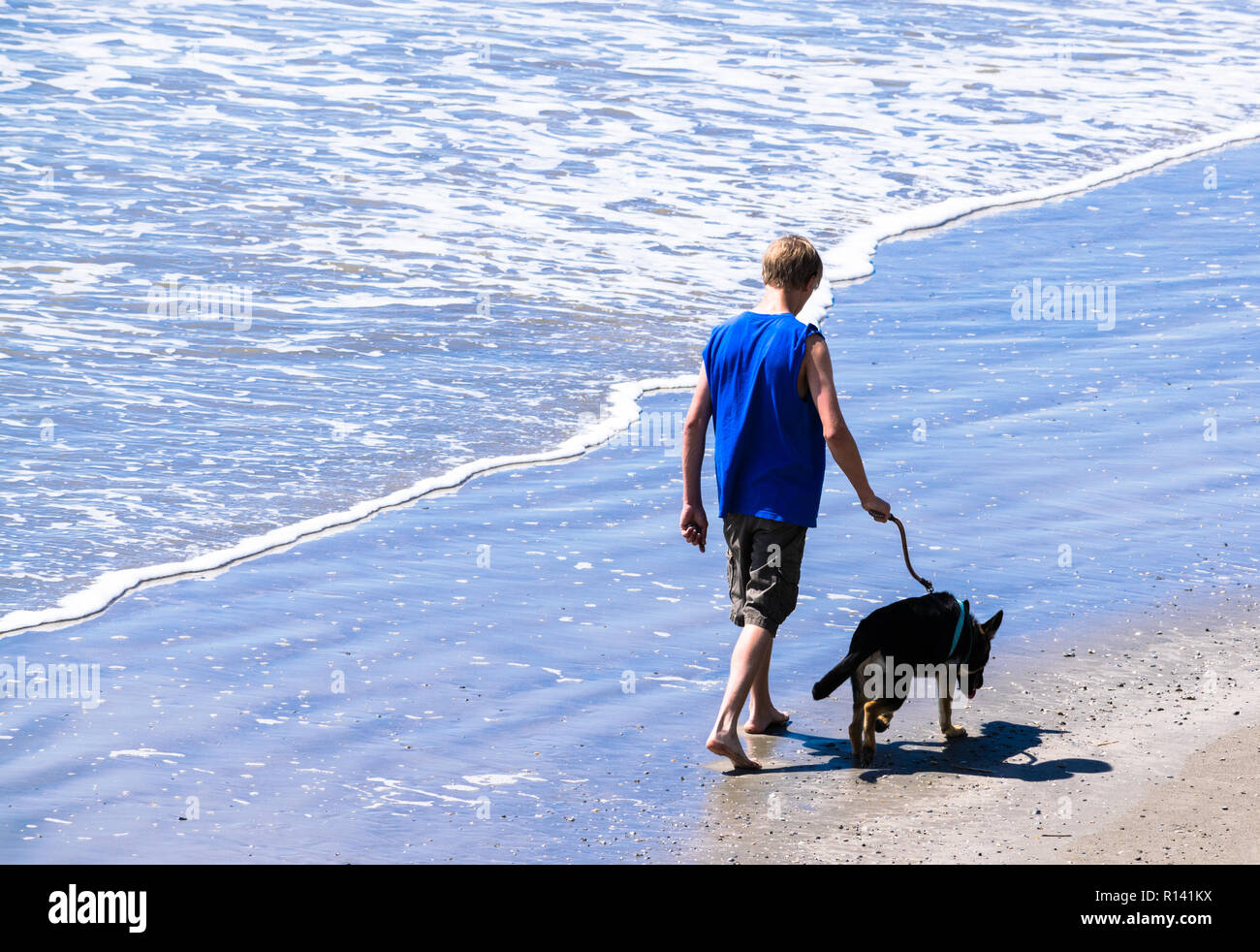 Teen boy walking his dog along the ocean beach Stock Photo - Alamy