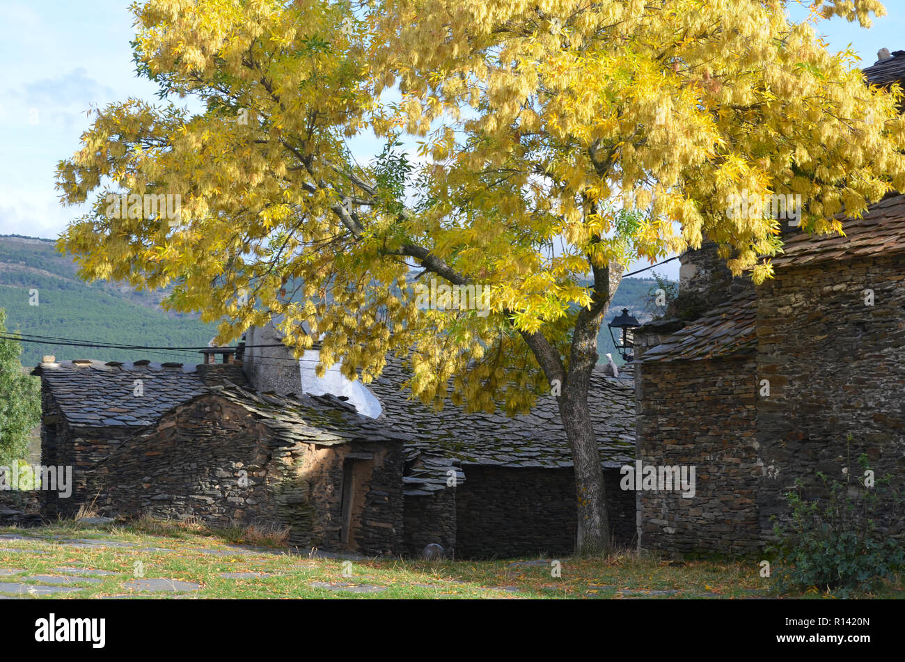 Campillo de Ranas, one of the Black Villages in the Sierra Norte of ...