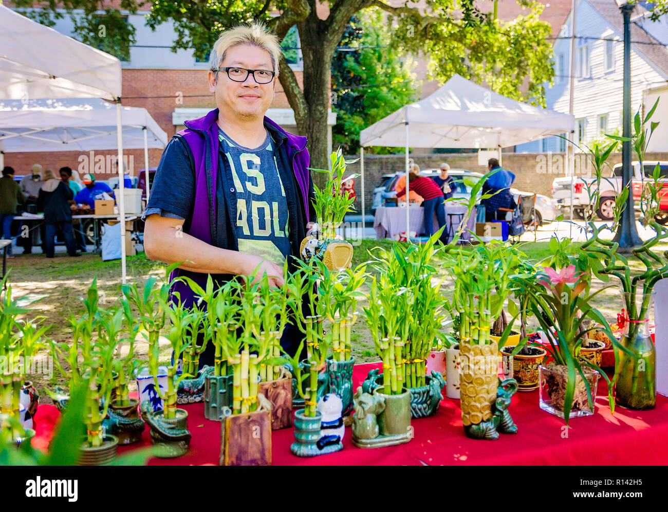 Bamboo plants hi-res stock photography and images - Alamy