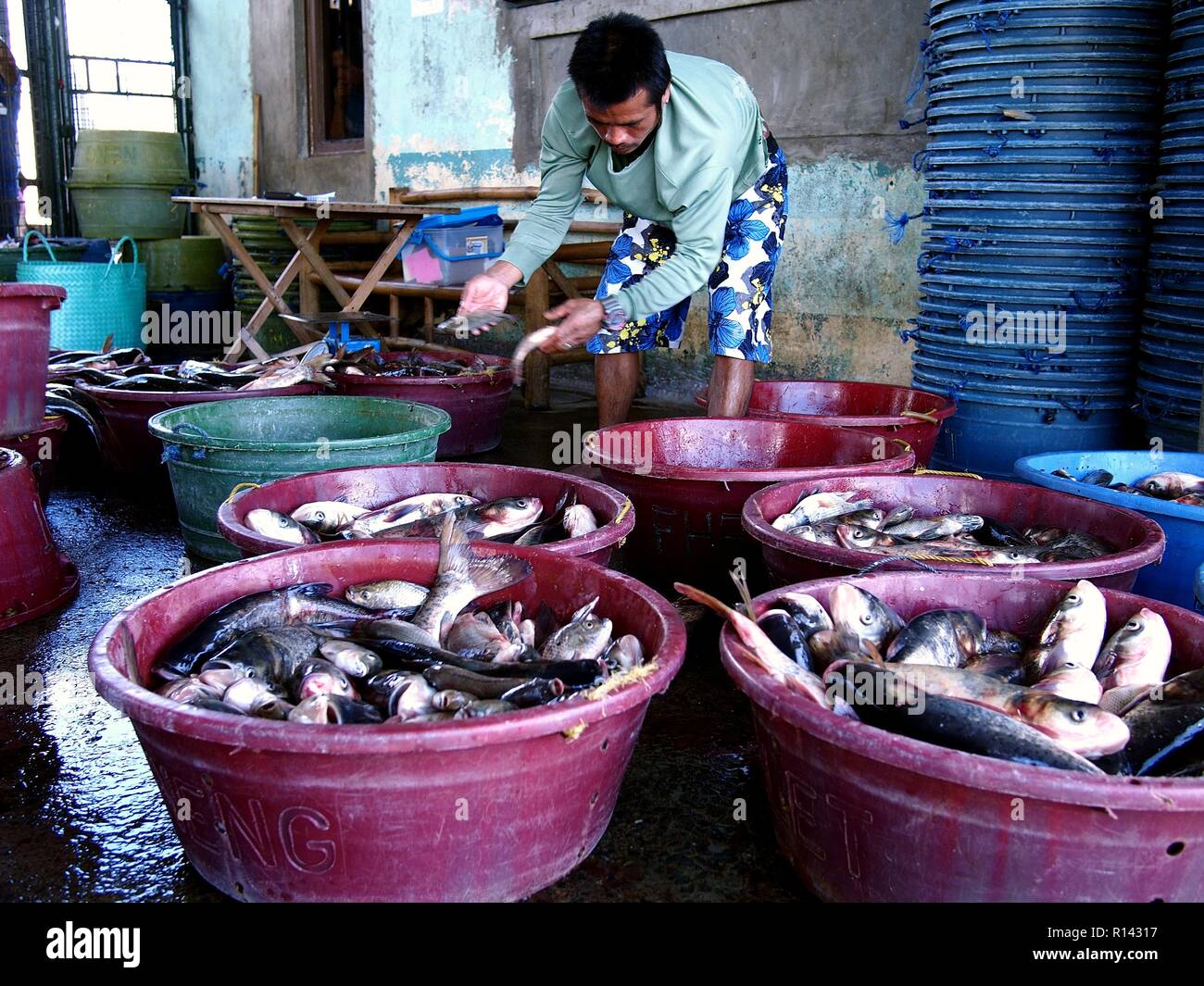 Manila philippines fish market hi-res stock photography and images - Alamy