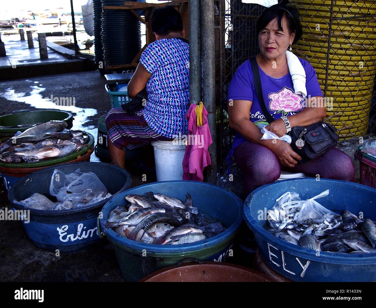 BINANGONAN, RIZAL, PHILIPPINES - NOVEMBER 8, 2018: A fish vendor sells ...